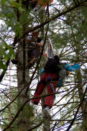 Parachutist Tree Rescue | Dunstable MA